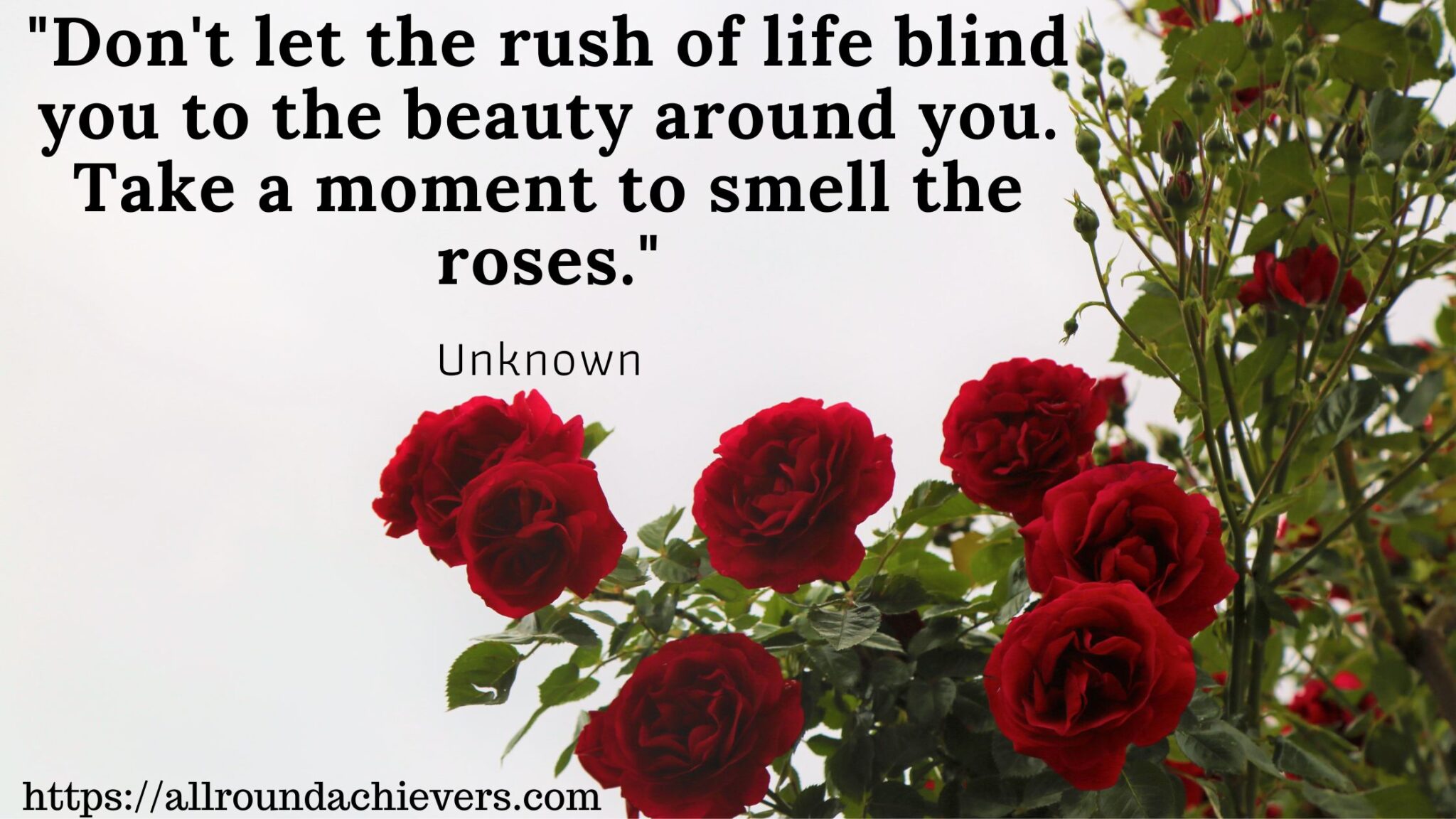 Pause to smell the roses - Allround Achievers